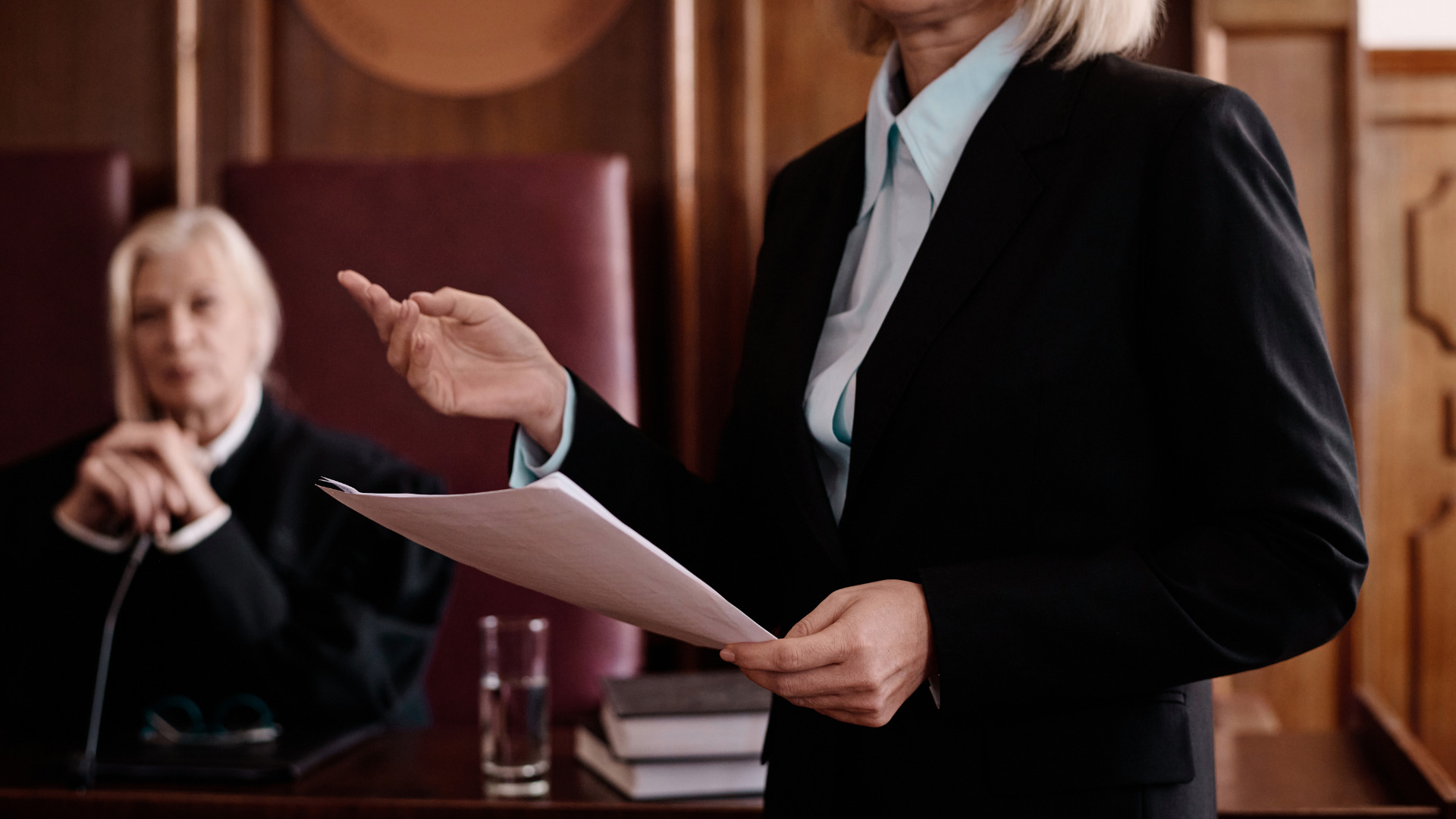Building Strong Judicial Review Cases | No borders